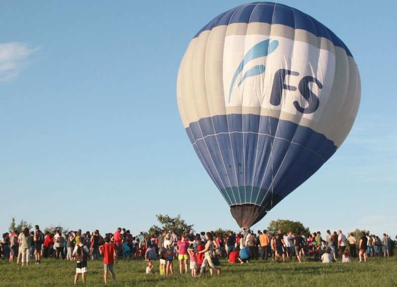 Balkan Services celebrates with Ficosota — Balkan Services